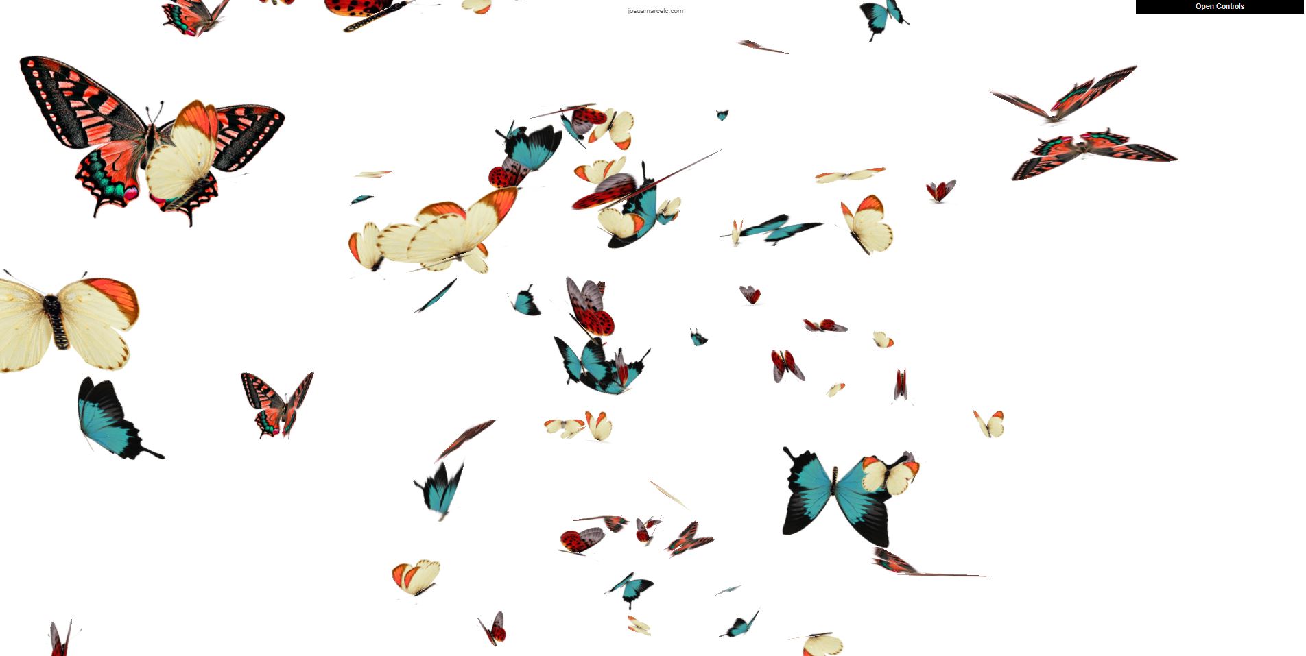 Buttefly Effect | Josuamarcelc